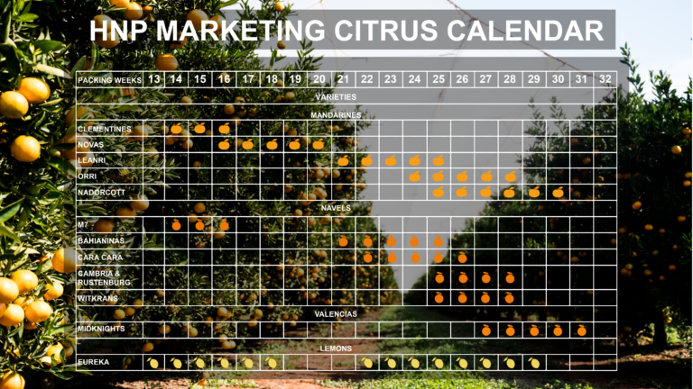 Citrus – HNP Boerdery